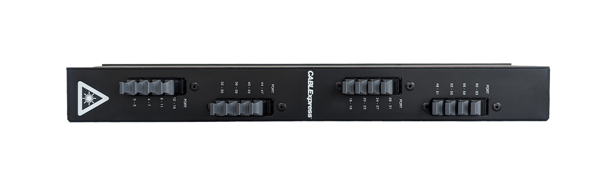 Brocade Port Replication